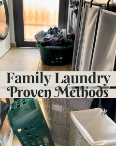 The Simple Home Journey - Simple steps and systems to take your home ...